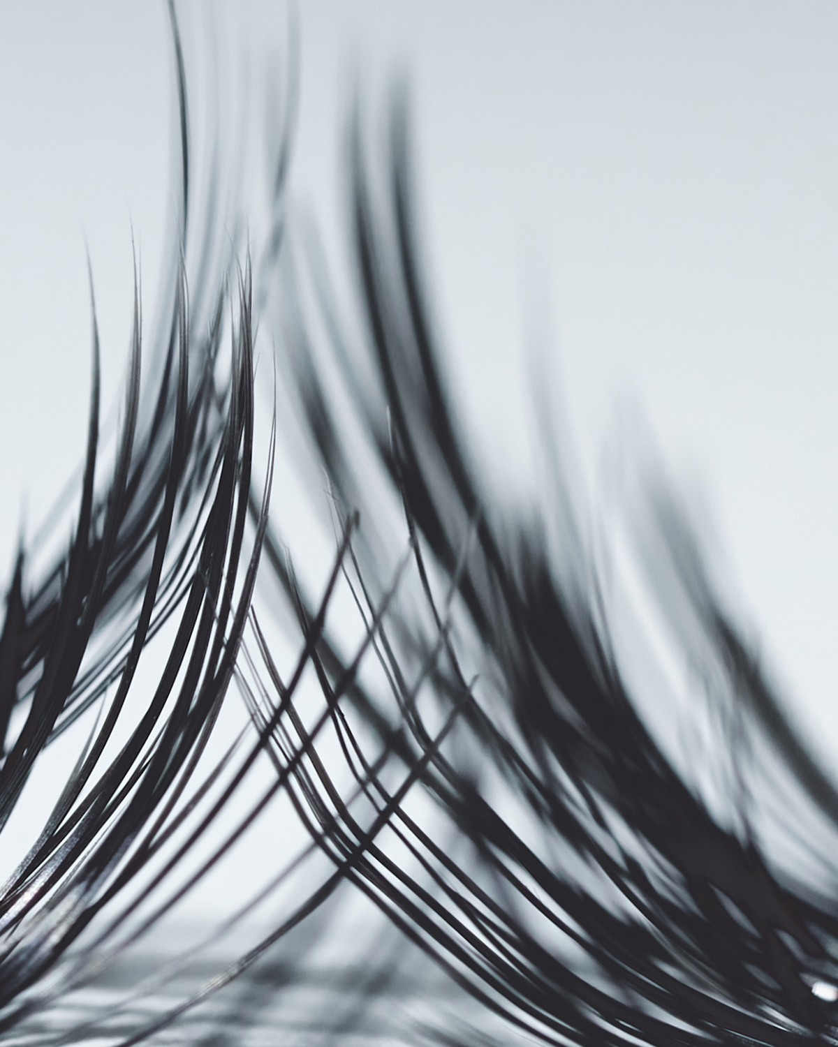 Galore - 6 Ways to Avoid Getting Scammed When You Get Your Eyelashes D ...